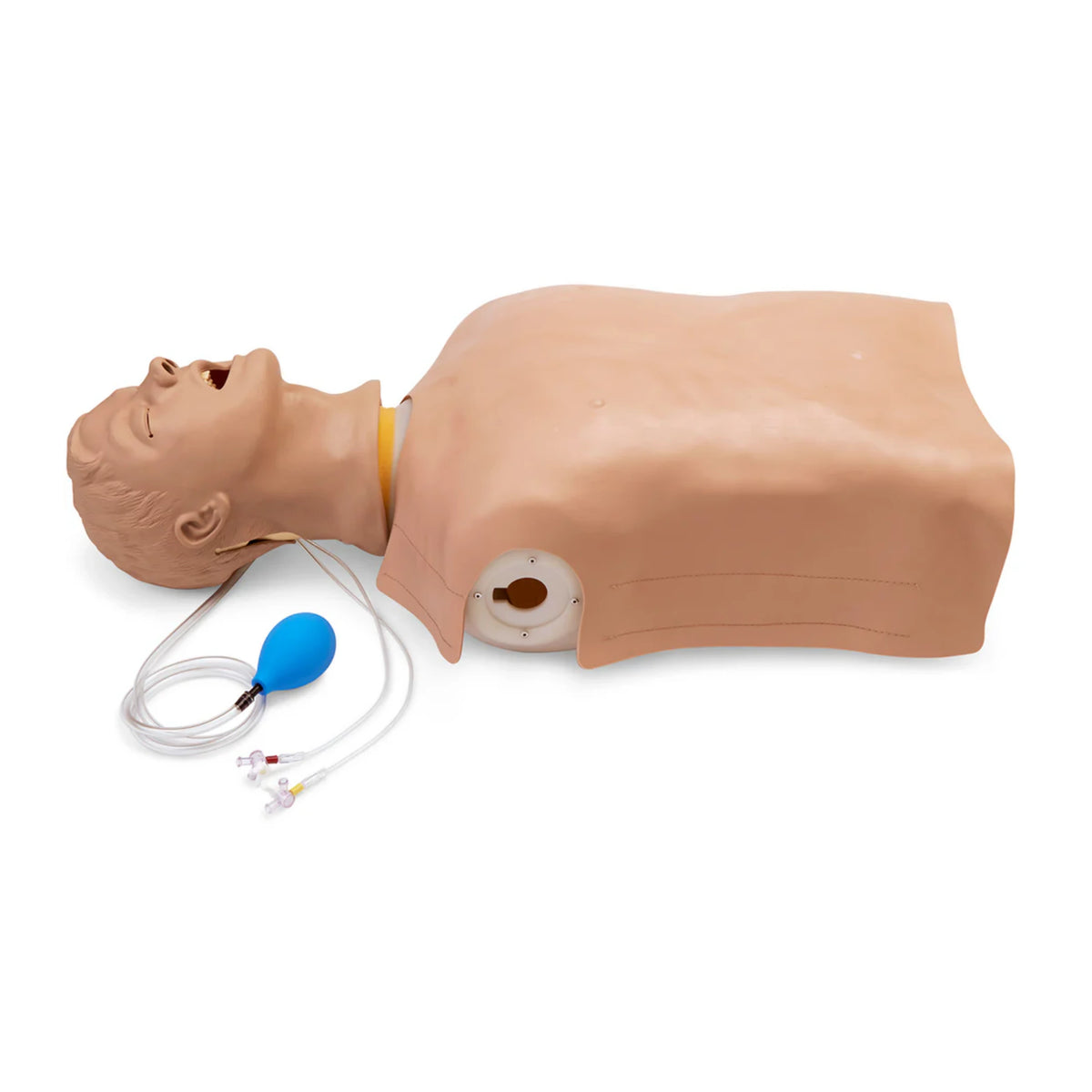 Torso para manejo de vías respiratorias "Airway Larry" - LF03686 — Lina ...